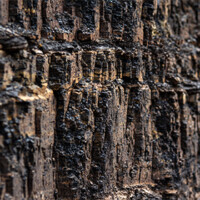 Huma: Humic Solutions with a Human Touch