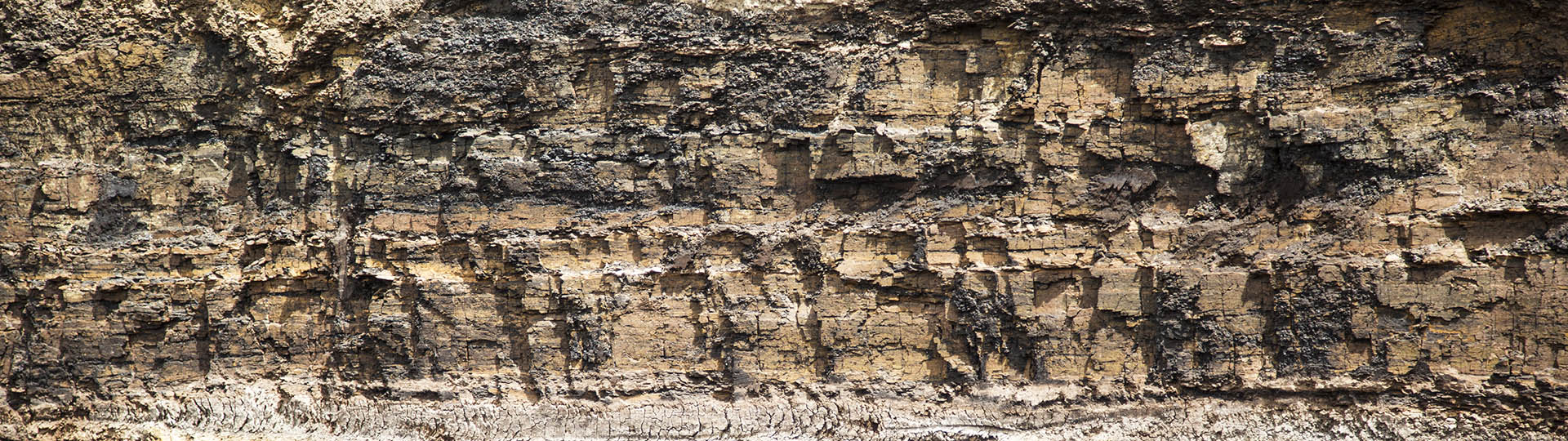 Huma Plant & Soil Products